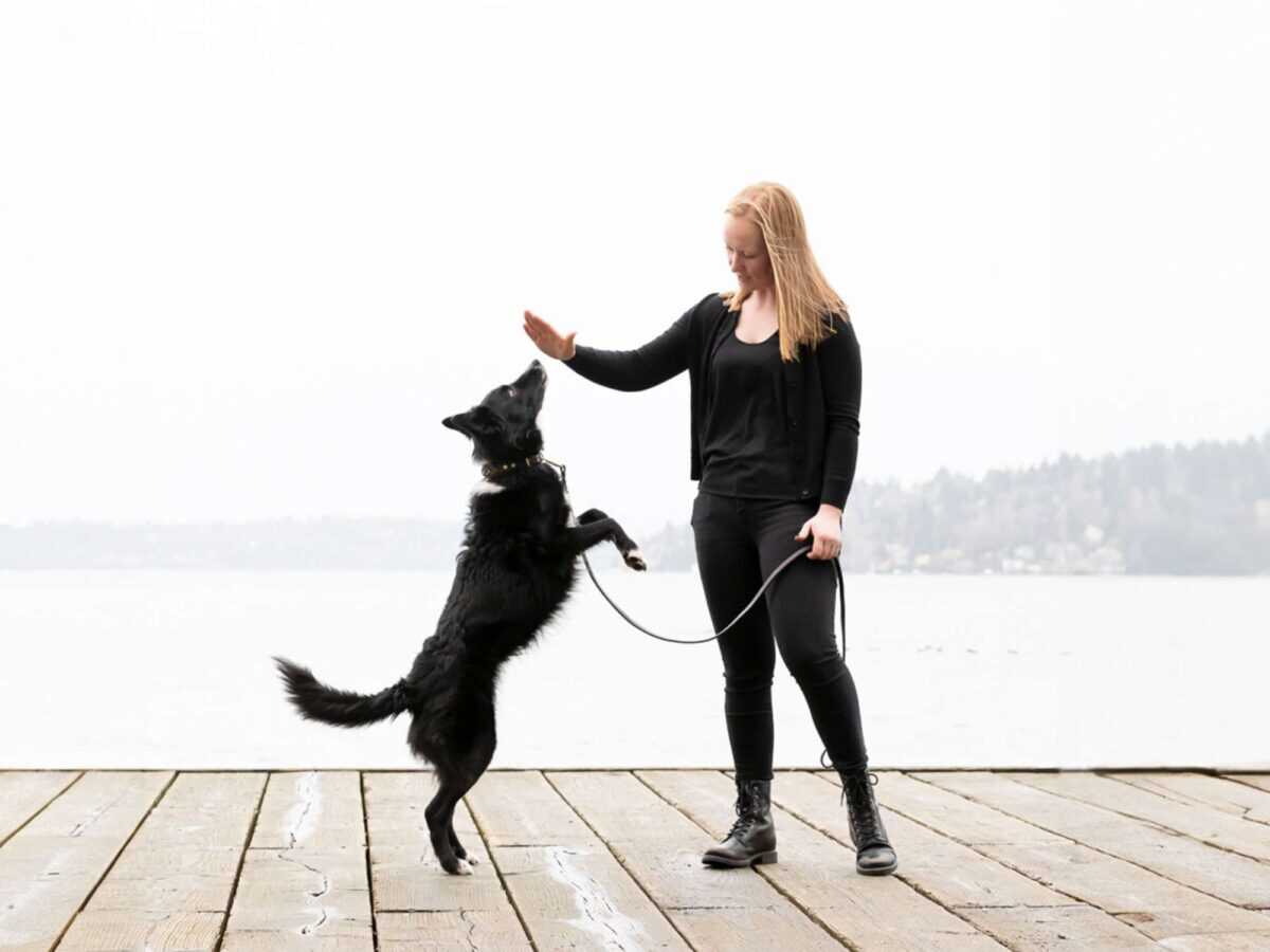 Karen Pryor Clicker Training | The Leader in Positive Reinforcement ...