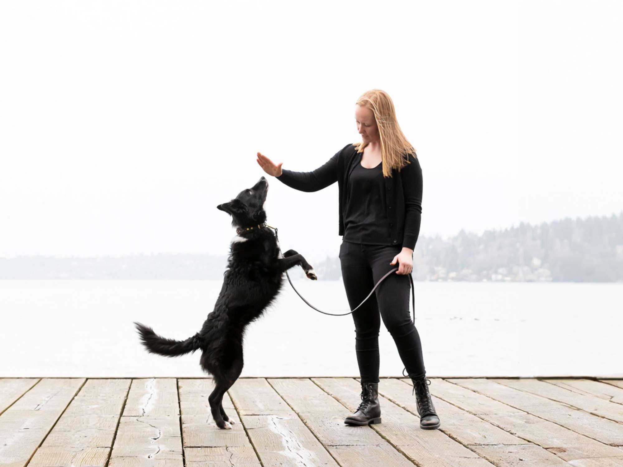 Karen Pryor Clicker Training | The Leader in Positive Reinforcement ...