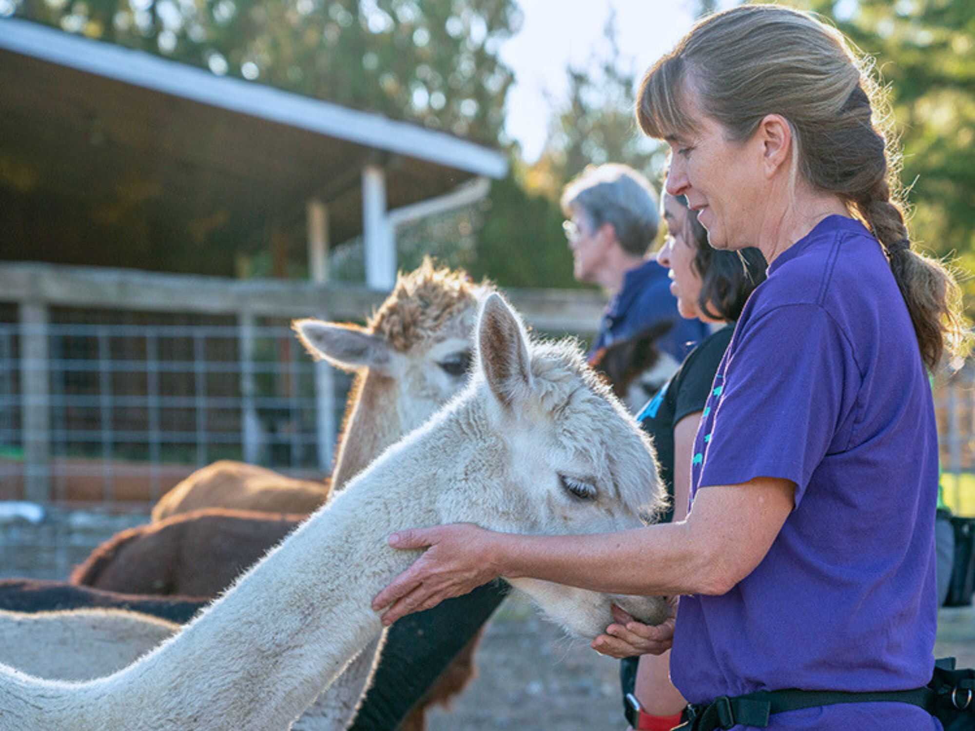 Karen Pryor Clicker Training | The Leader in Positive Reinforcement ...